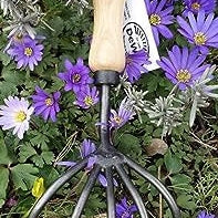 DeWit Five Tine Cultivator – pod&seed online