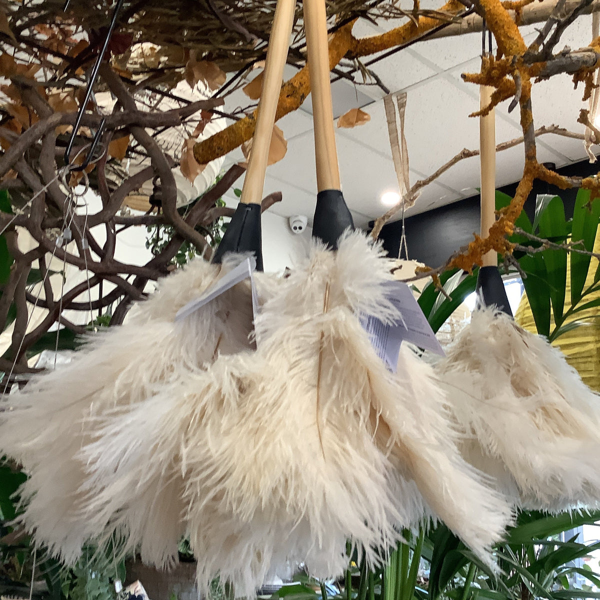 Ostrich Feather Duster – pod&seed online