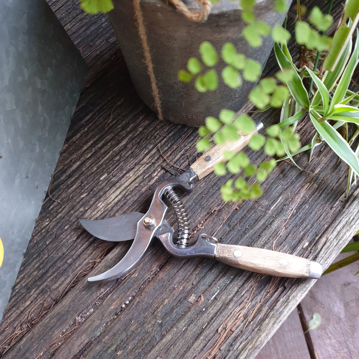 Secateurs Wood Handle – pod&seed online